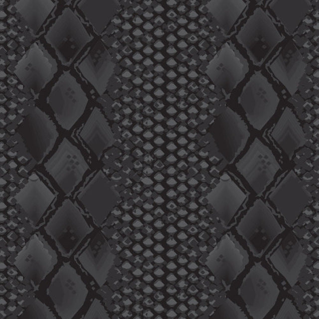 Black Python Skin