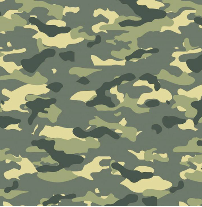 Army Camouflage Print