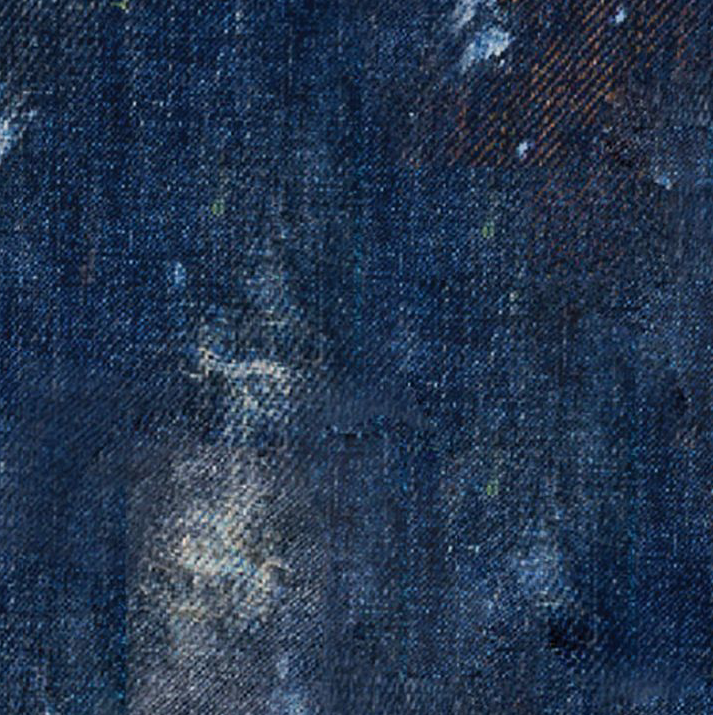 Distressed Denim Fabric